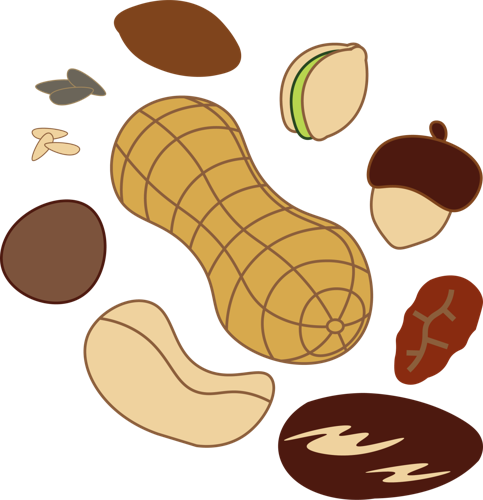 Nut-o-scope | Arts + Culture | montanakaimin.com