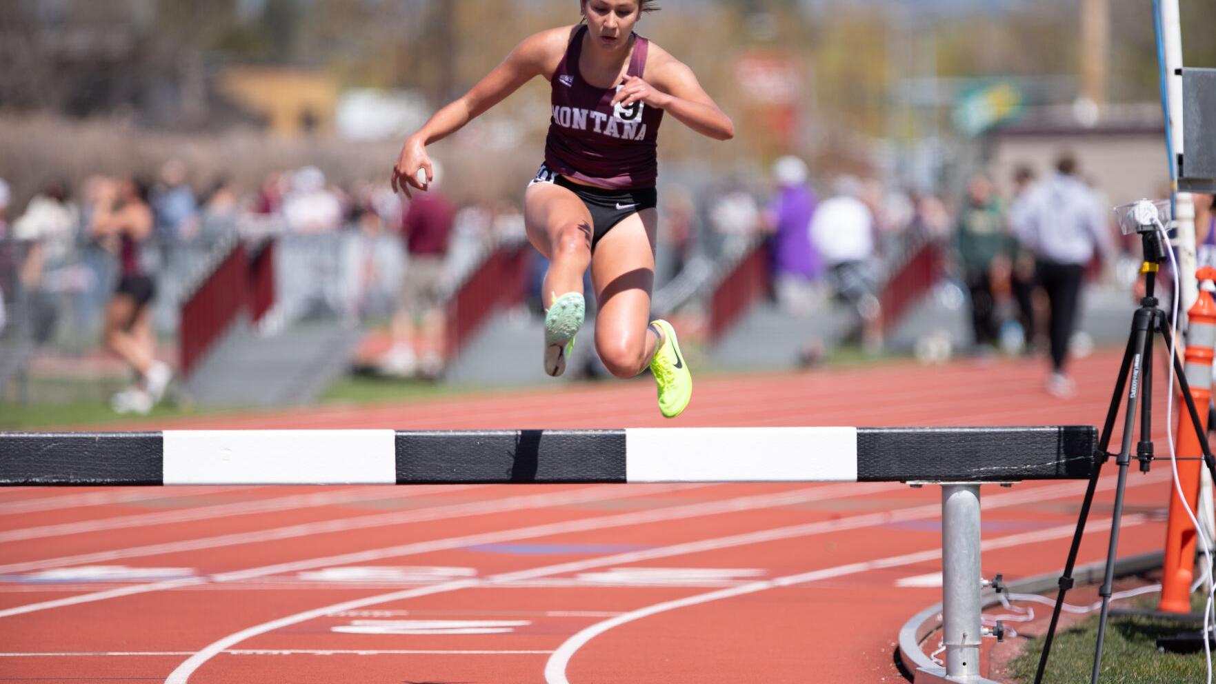 CyberBear login changes | News | montanakaimin.com