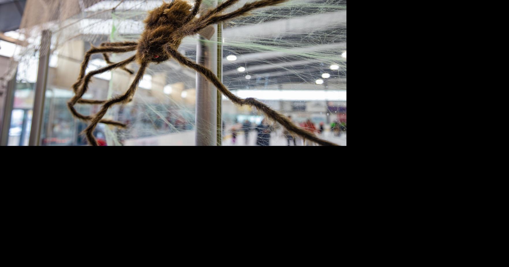 Spooky Skaters hit the Ice | Gallery | montanakaimin.com