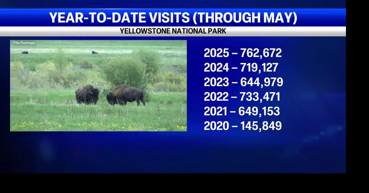 Yellowstone visitation statistics for May 2025 | Bozeman News | montanarightnow.com