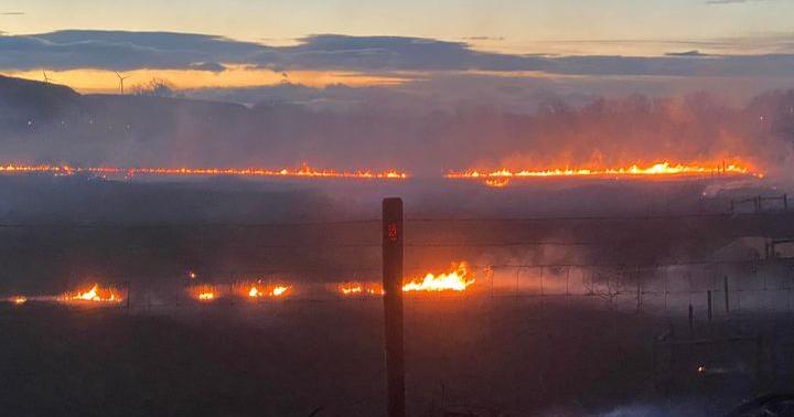 Fires in the area of Wadsworth Pond determined to be accidental | Great ...