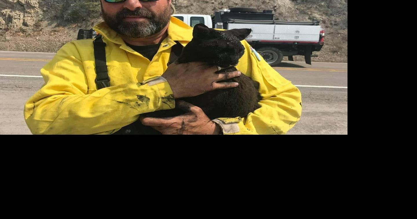 Organizations arrange donations for Boulder 2700 Fire evacuees ...