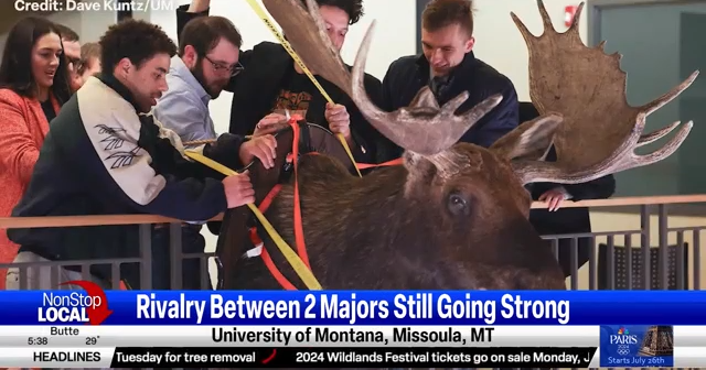 Rivalry renews between UM Law and Forestry students ahead of Foresters ...