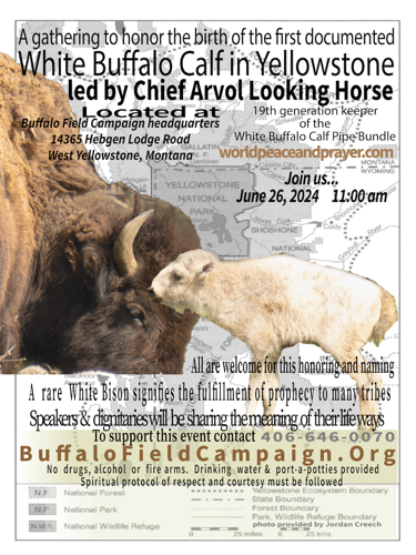 Buffalo Field Campaign invites public for gathering to honor rare white ...