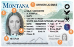 Montana unveils new secure driver licenses to combat identity theft ...