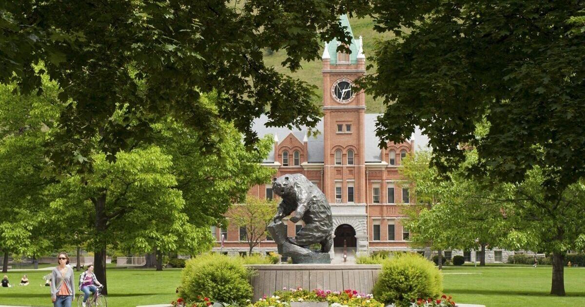 University of Montana launching physician associate program | Missoula ...