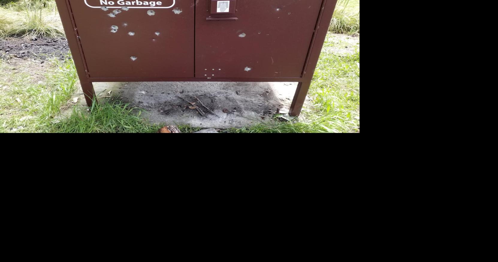 Windows, bear-resistant food storage boxes and more damaged at Sylvia ...