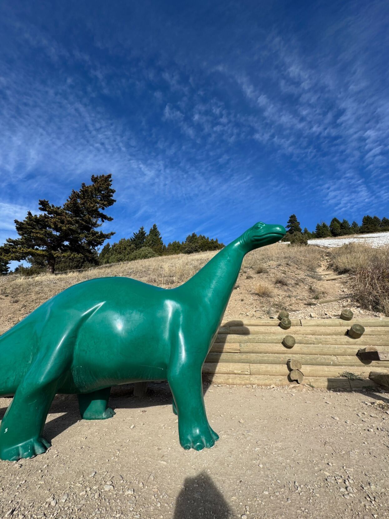 'Is our dinosaur gone?' Iconic green Sinclair mascot takes a hike up ...