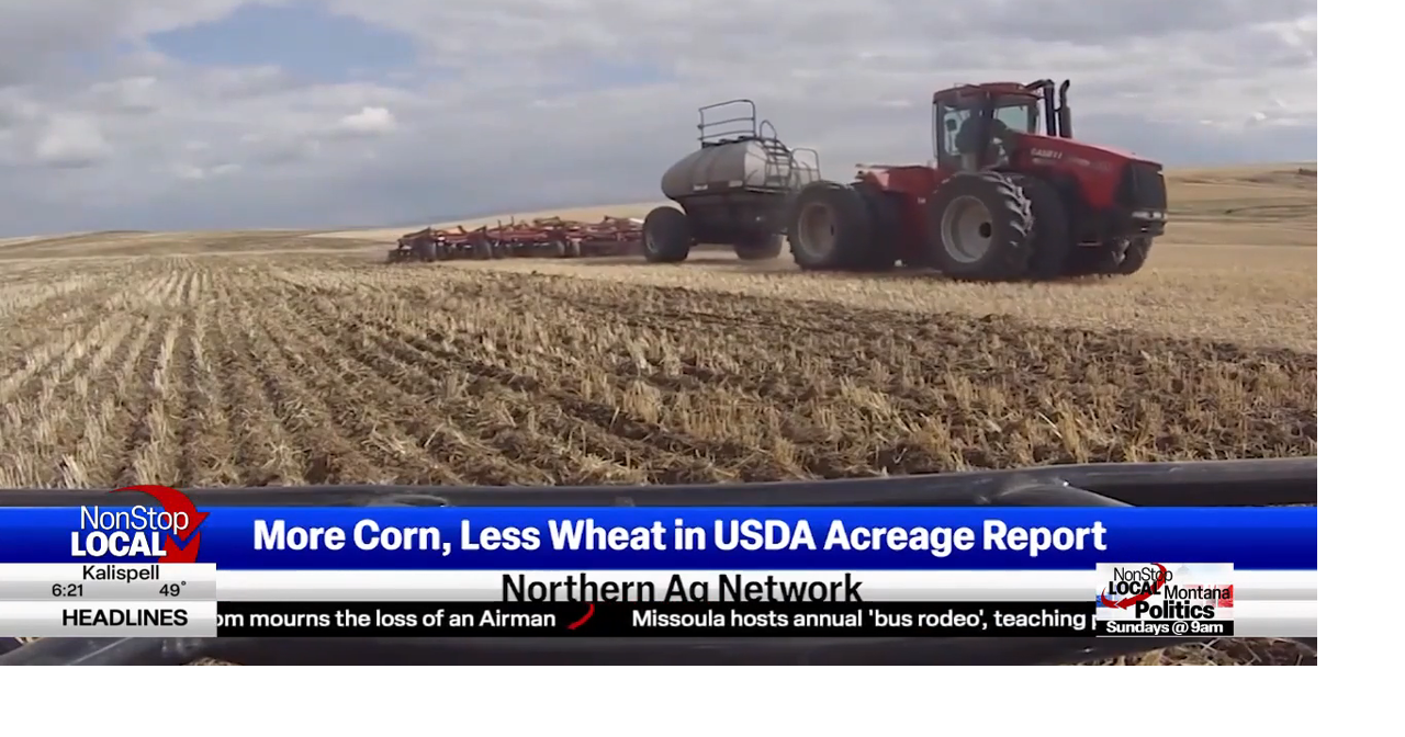 More corn, less wheat in USDA acreage report | AG Report ...