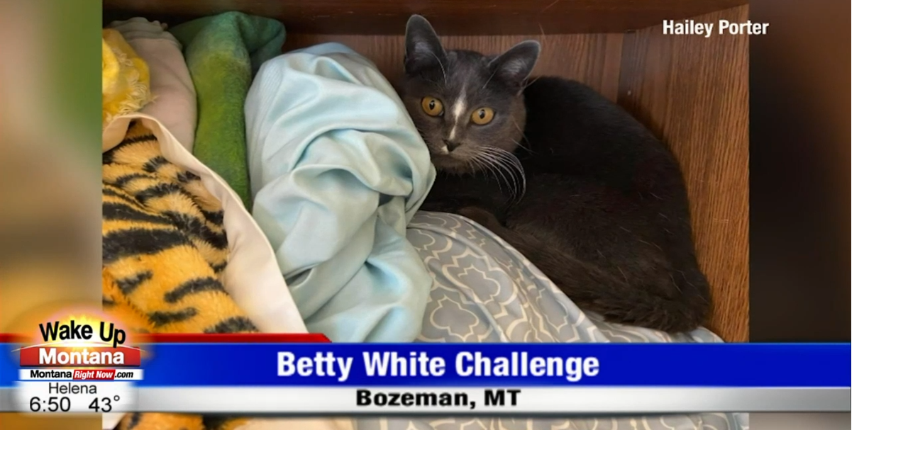 Bozeman Heart of the Valley celebrating "Betty White Challenge" with ...