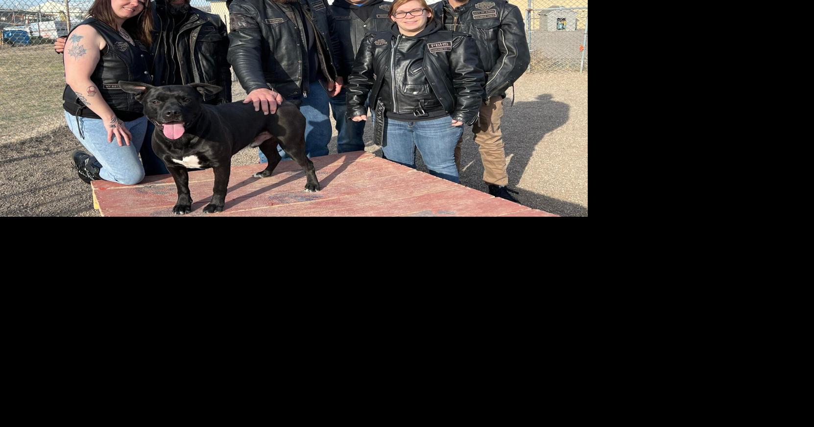 Good Samaritan: Black H3arts Motorcycle Club donates to GF Animal ...