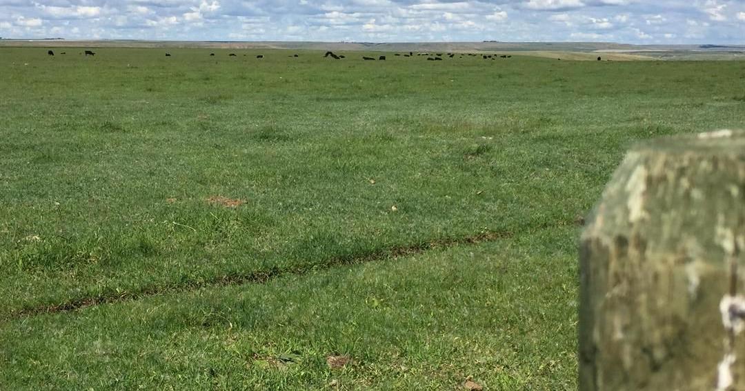 Bill banning foreign adversaries from buying or leasing Montana AG land ...