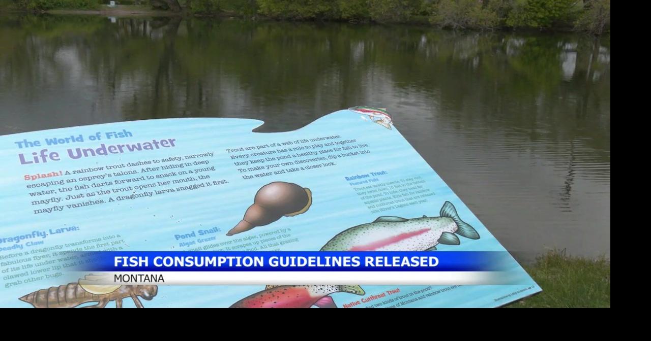 Montana fish guide warns anglers to check local waters | Missoula News ...