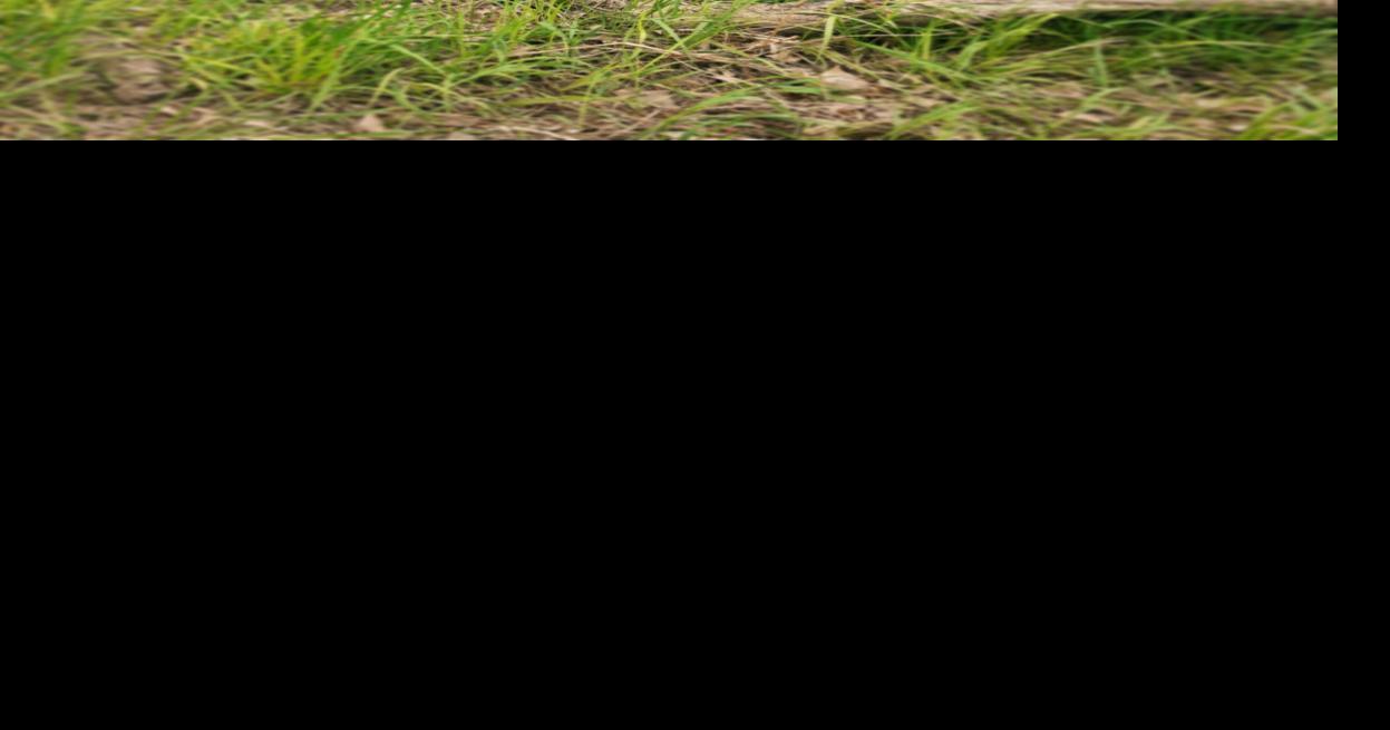 Wyatt Carter | | montanarightnow.com