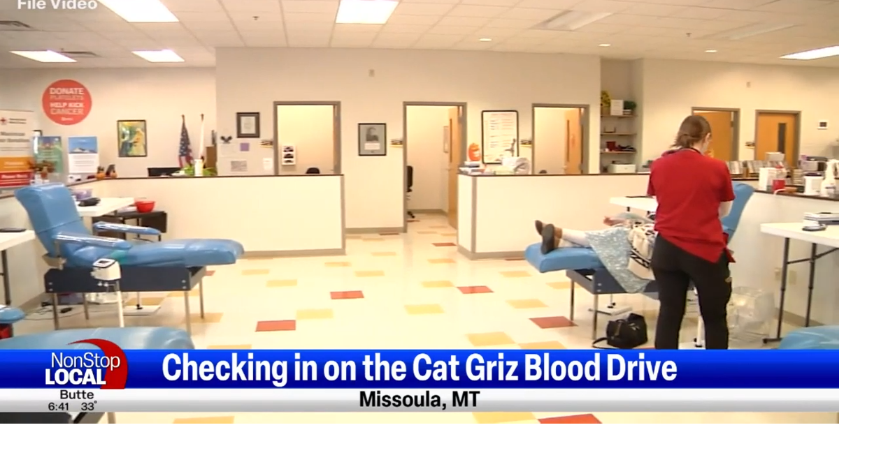 Cat-Griz Blood Battle brings in donors across Montana as Brawl of the ...