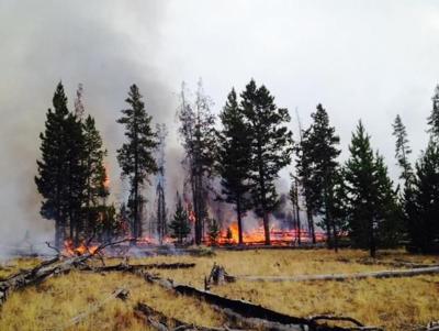 fire yellowstone