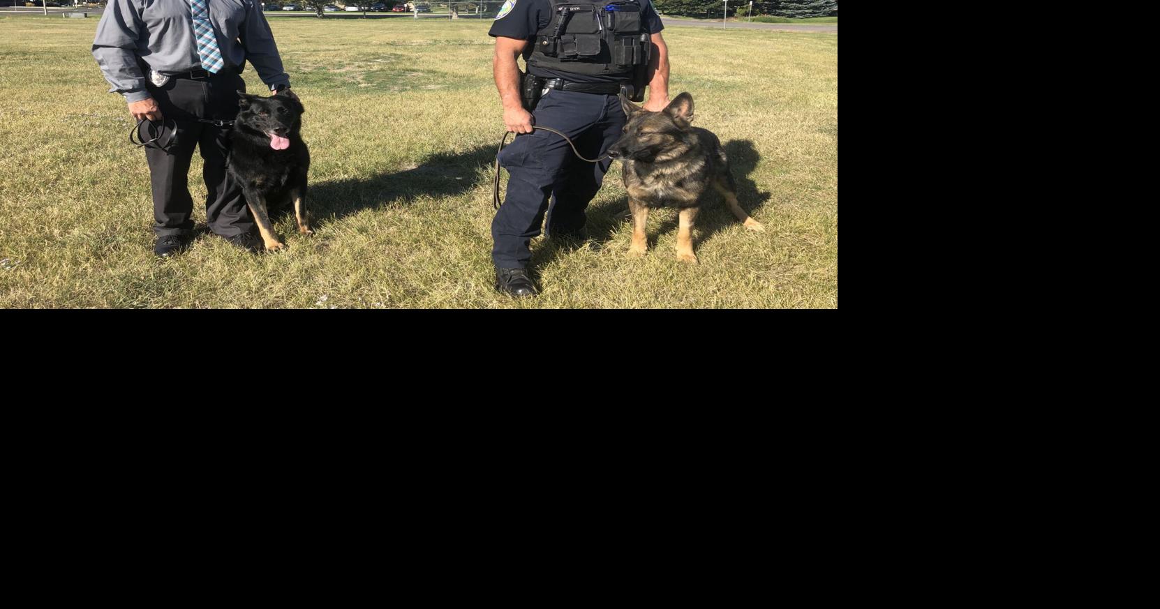 Bozeman Police Department purchasing new K-9 unit | Bozeman News ...