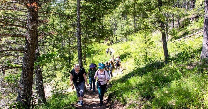 Glacier National Park invites volunteers to become 'weed wranglers' to ...