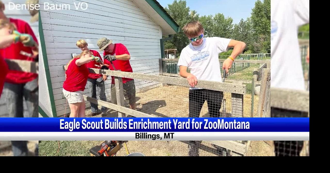 Zoomontana Has New Enrichment Yard Thanks To Eagle Scout