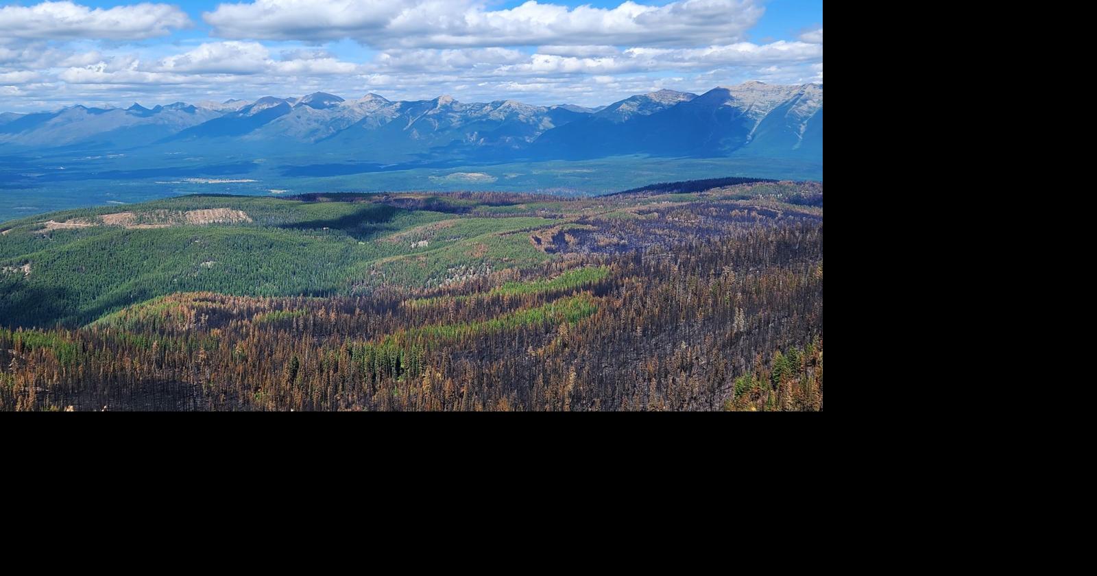 Colt Fire containment continues to increase | Missoula News ...