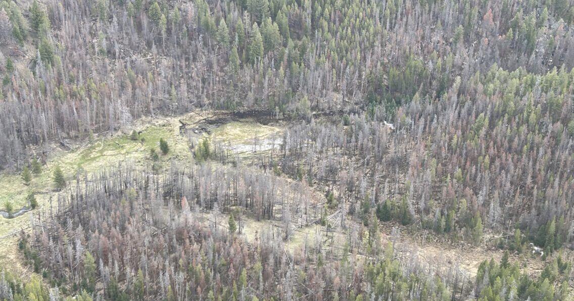 Crews fully contain Sawlog Fire near Wisdom | Butte News ...