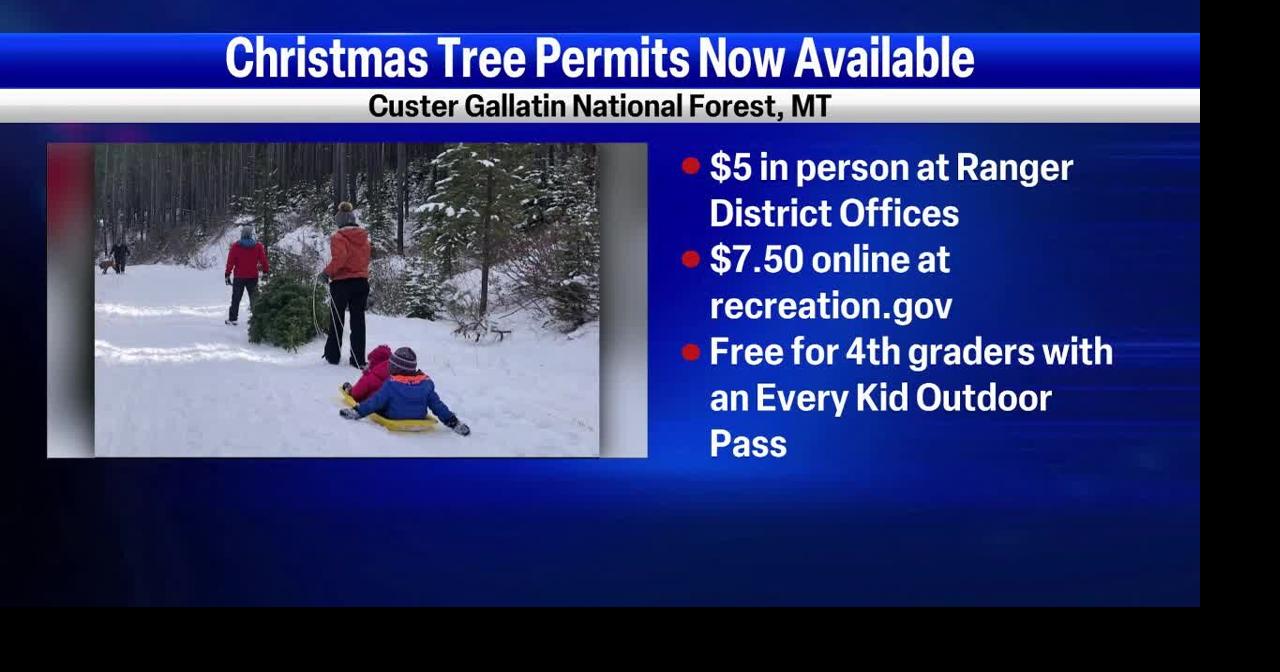 Christmas tree permits now available for Custer-Gallatin National ...