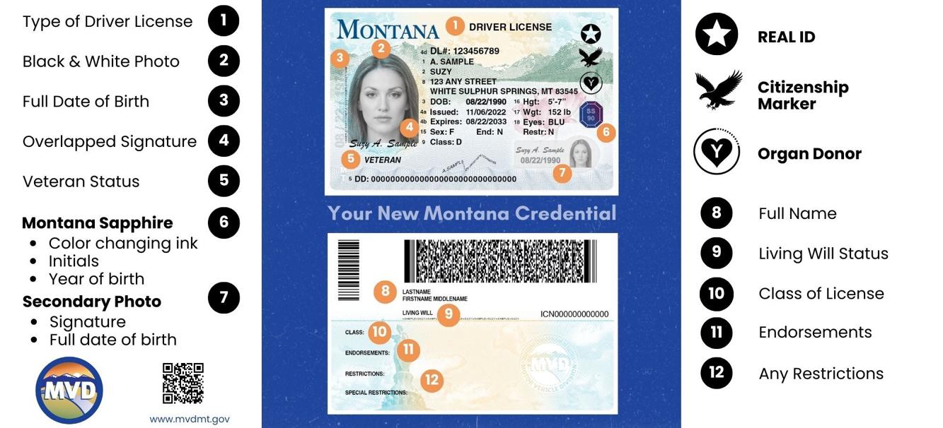 Montana unveils new secure driver licenses to combat identity theft ...