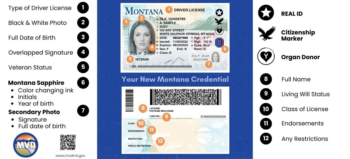 Montana unveils new secure driver licenses to combat identity theft ...