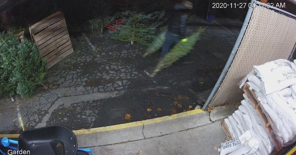 Man arrested for allegedly stealing 50 Christmas trees from hardware ...