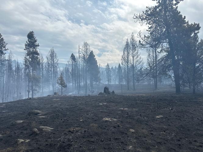 Crews fully contain Sawlog Fire near Wisdom | Butte News ...