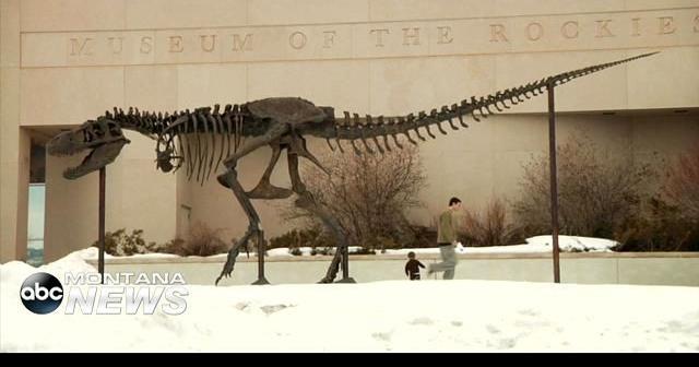 MOR Celebrates Departure of Wankel T. Rex | Montana News ...