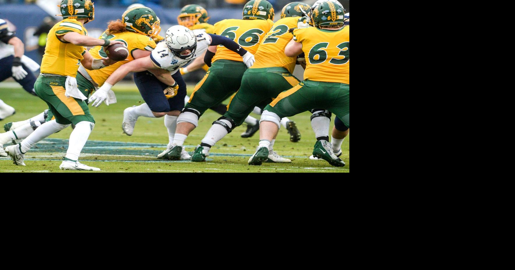 NDSU Bison preparing for unfamiliar FCS playoff experience | Montana ...