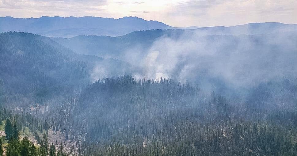 Fire Weather Watch to go into effect at Goose Fire due to wind gusts ...