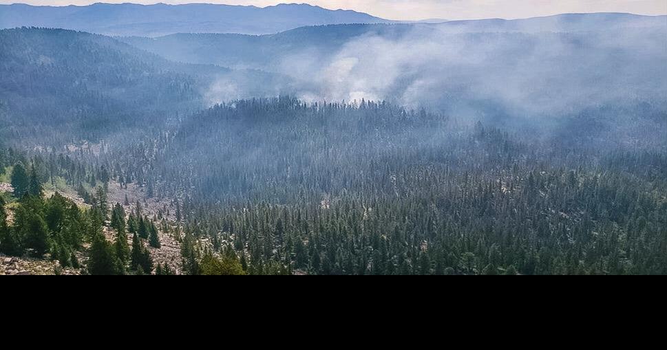 Fire Weather Watch to go into effect at Goose Fire due to wind gusts ...