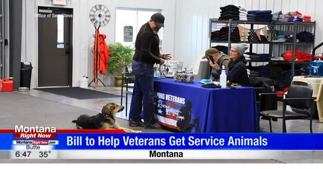 PAWS Act aiming to pair service dogs with eligible veterans ...