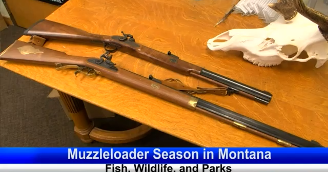Muzzleloader season in Montana back for the second year | Great Falls News | montanarightnow.com