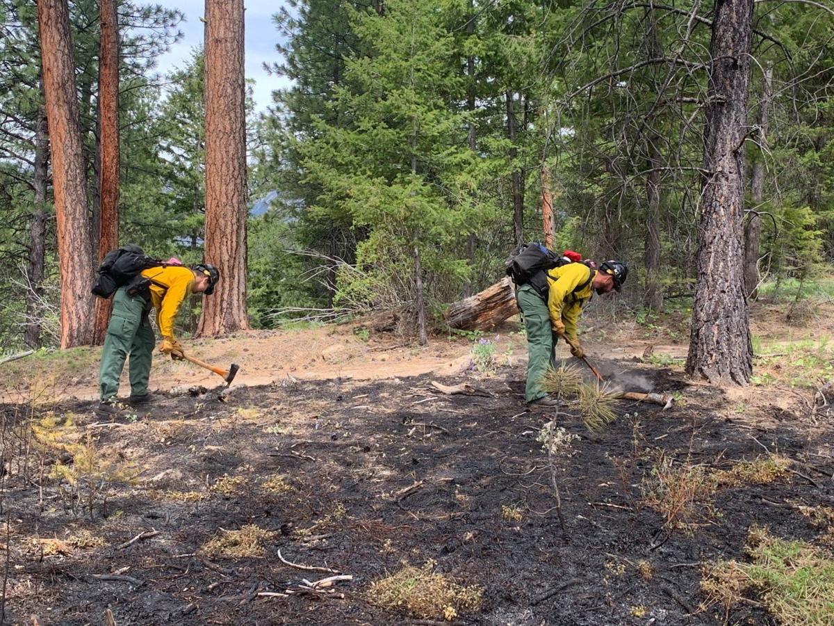 Lightning sparks small wildfire in Bitterroot National Forest | ABC Fox ...