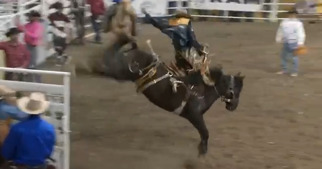 One Last Ride: Three Seniors Shine at MSU Spring Rodeo | Montana State ...