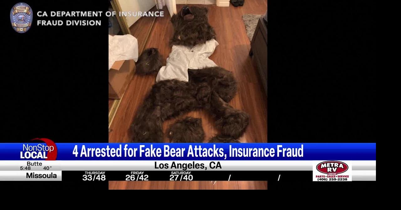 California bear costume scam leads to $141K insurance fraud ...