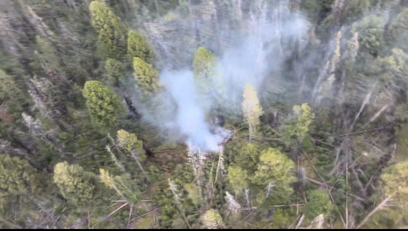 McElwain Fire control lines hold at 25% containment, caution advised in ...