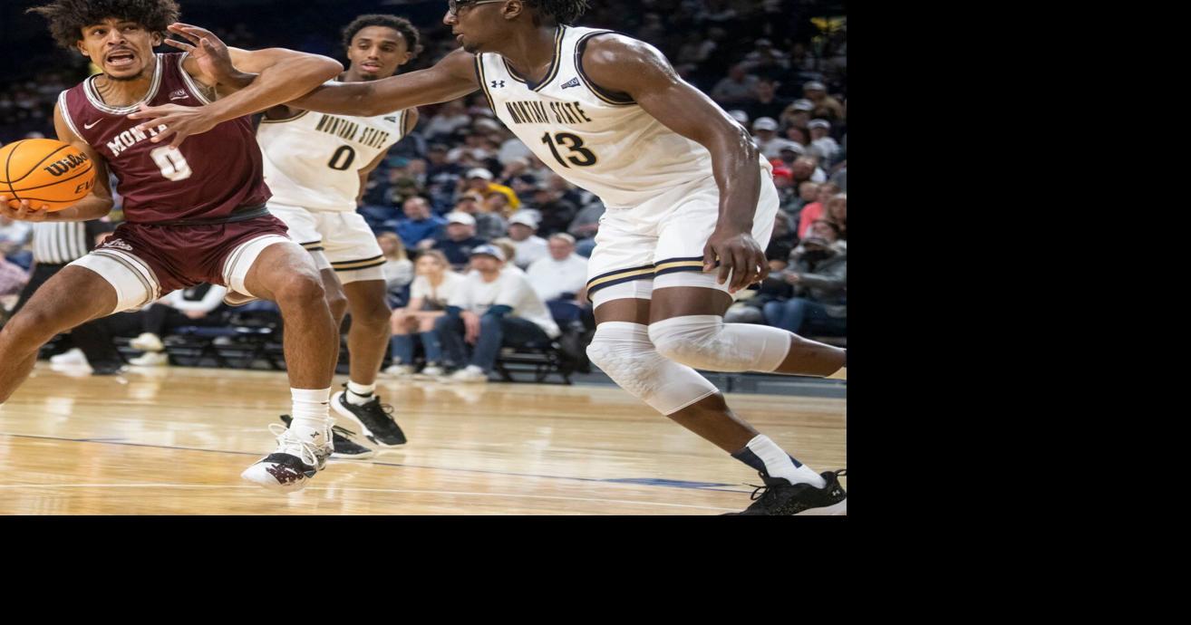Montana, Montana State men on diverging paths heading into season ...