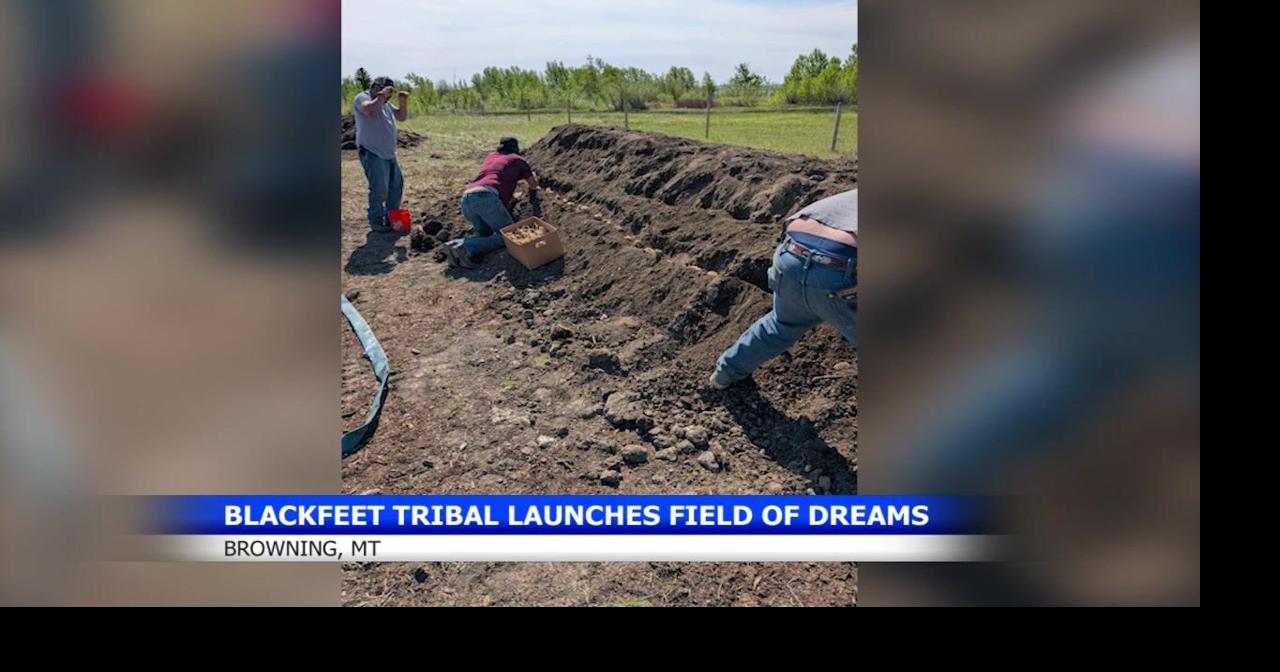 Blackfeet agriculture efforts aim to grow local food access | Kalispell ...