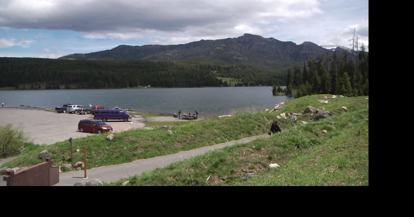 Harmful algal blooms found at Hyalite Reservoir and Elk Groove Park ...