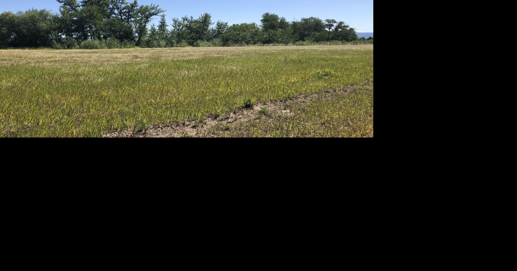 Triangle plan outlines future development for one of the fastest ...