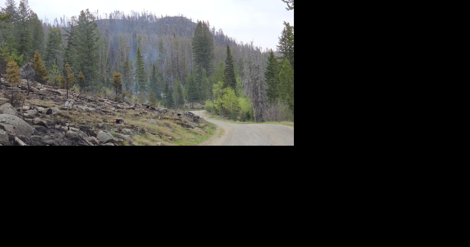 Jericho Creek fire near MacDonald Pass holds at 2,068 acres | Helena ...