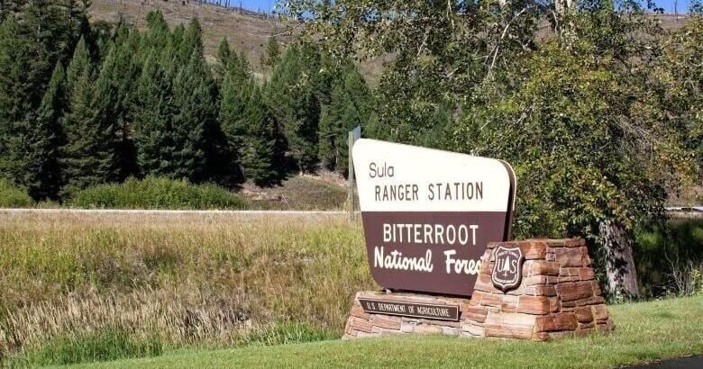 Lightning sparks multiple fires in Bitterroot National Forest | Fires ...