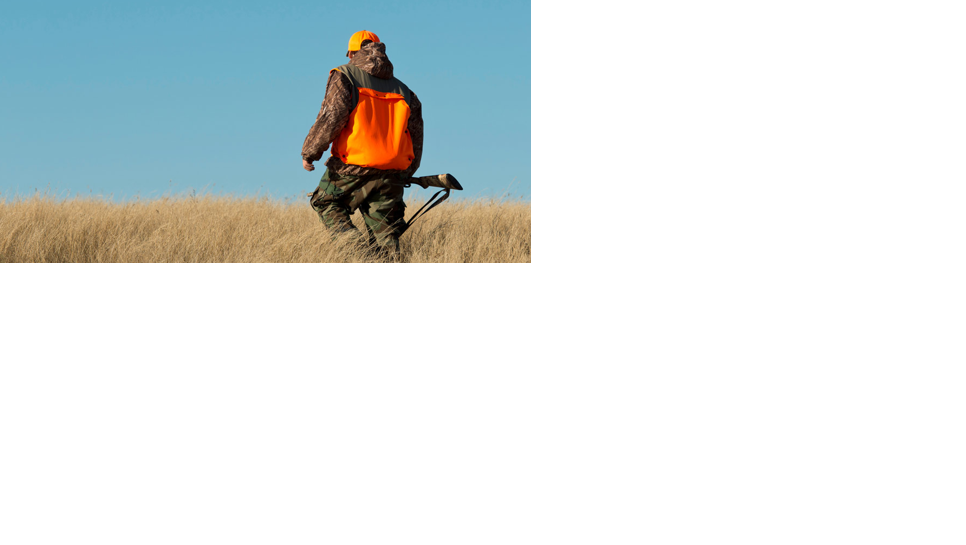 Sign-up open for surplus drawing licenses and permits | Straight From ...