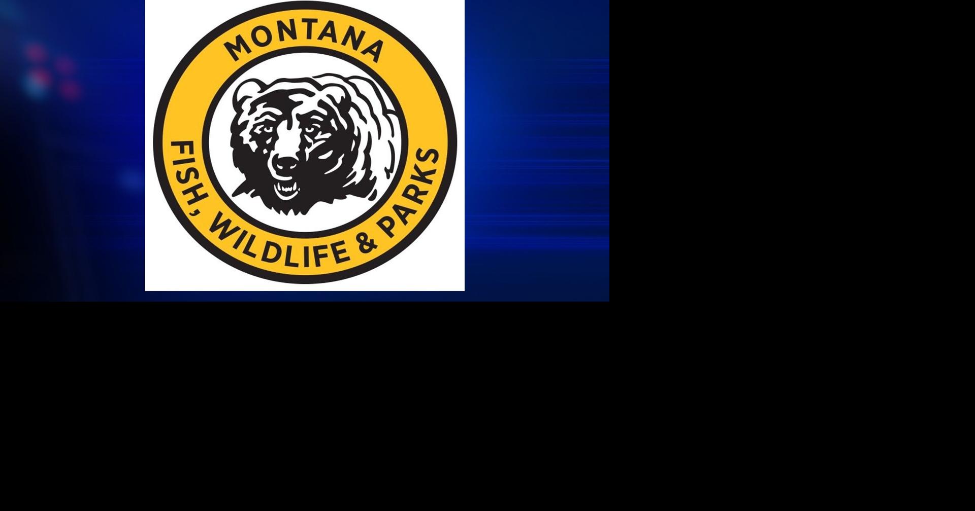 Montana Fish and Wildlife Commission to discuss key projects in virtual ...