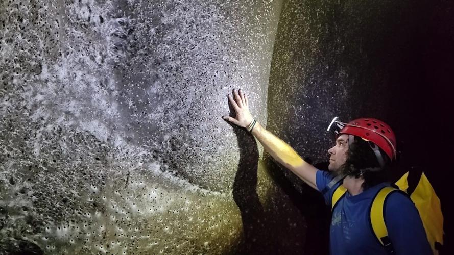 largest web making spider