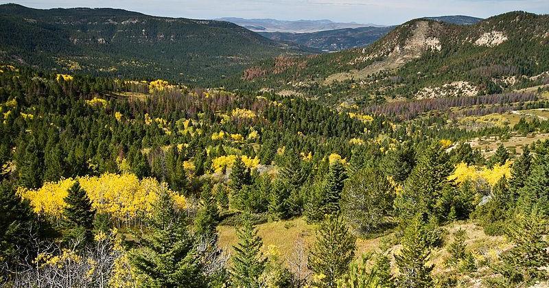 Exploring the outdoors? Be mindful of path conditions, says forest ...